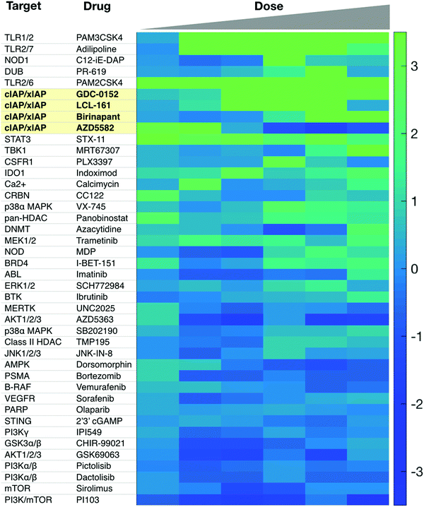 The chemical biology of IL-12 production via the non-canonical NFkB ...