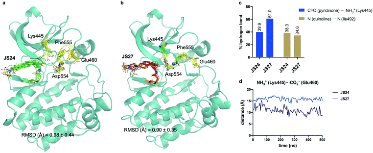Structural and biophysical insights into the mode of covalent binding ...