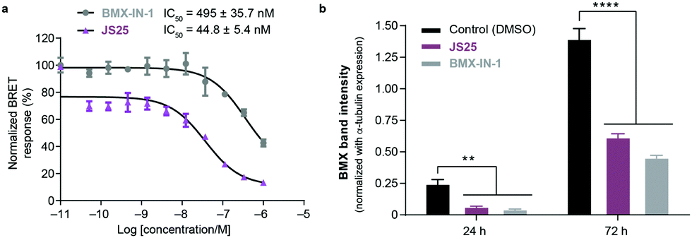 Structural and biophysical insights into the mode of covalent binding ...