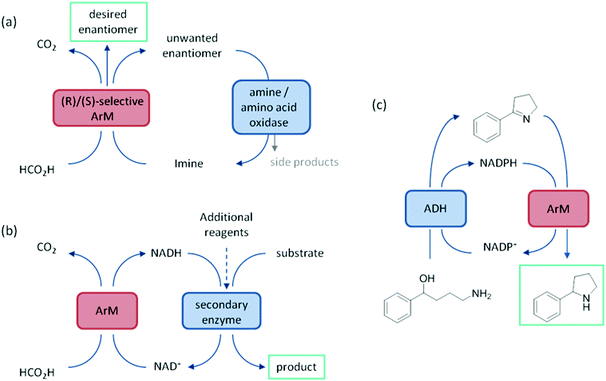 Artificial imine reductases: developments and future directions - RSC ...