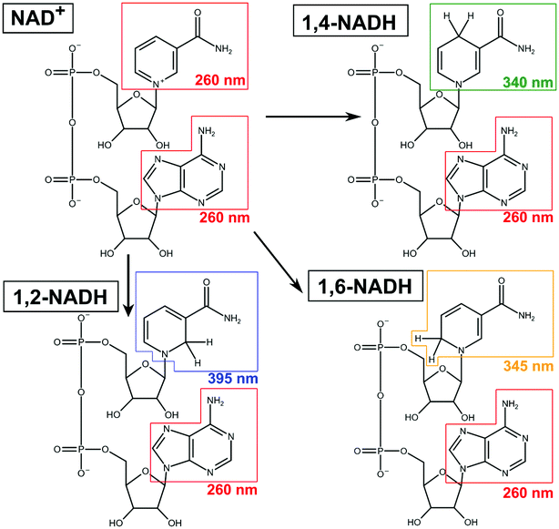 A facile analytical method for reliable selectivity examination in cofactor NADH regeneration ...
