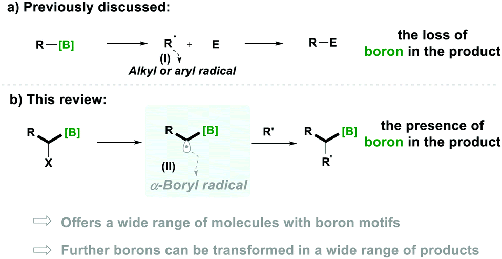 α-Borylalkyl radicals: their distinctive reactivity in modern organic ...