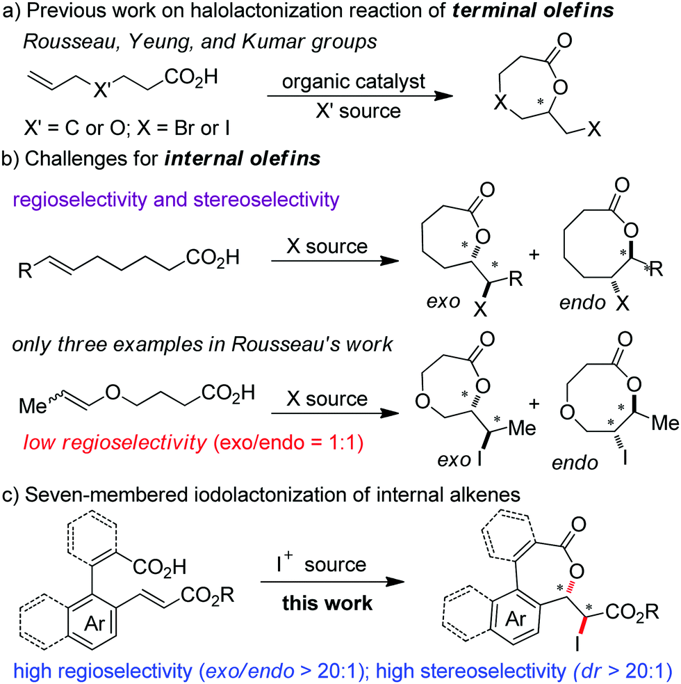 halo lactonization mechanism
