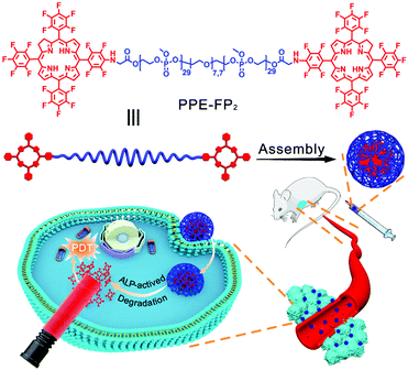 Hydrophilic polyphosphoester-conjugated fluorinated chlorin as an ...