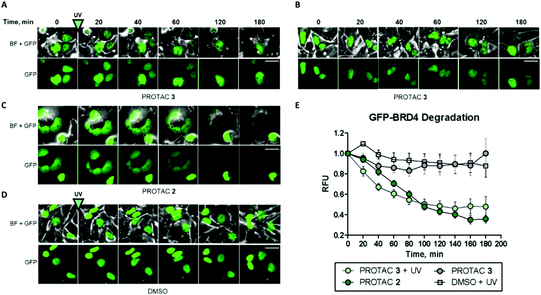 A caged E3 ligase ligand for PROTAC-mediated protein degradation with ...