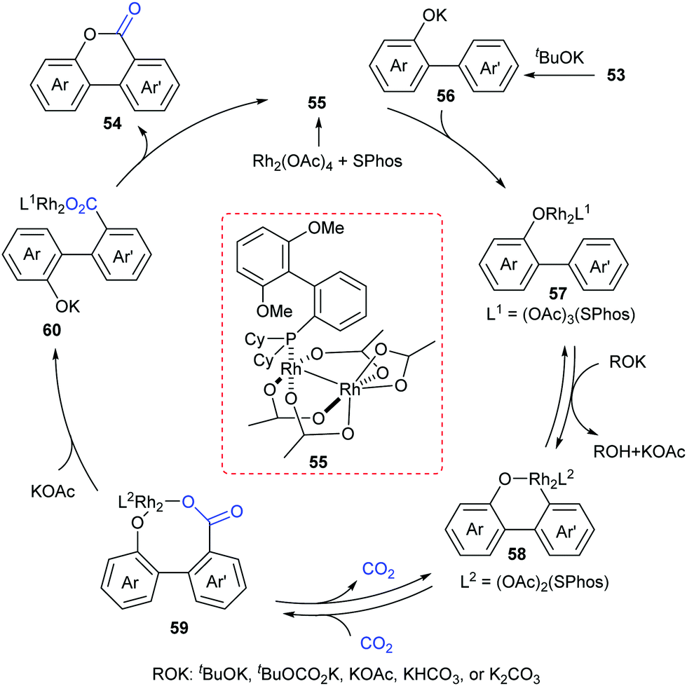 CO 2 = CO + [O]: recent advances in carbonylation of C–H bonds with CO ...
