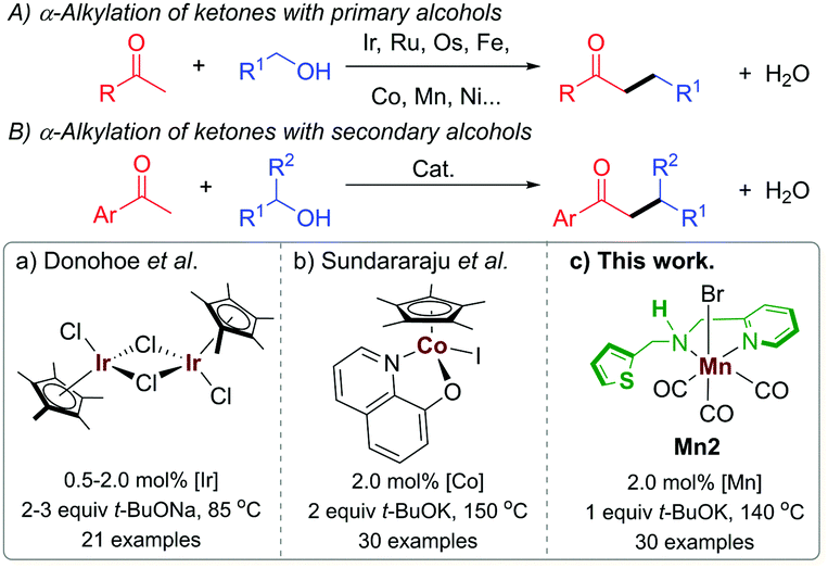 Manganese complex-catalysed α-alkylation of ketones with secondary ...