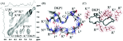 Cell-penetrating peptides containing 2,5-diketopiperazine (DKP ...