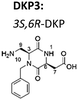 Cell-penetrating peptides containing 2,5-diketopiperazine (DKP ...