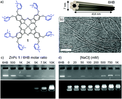 Phthalocyanine–DNA origami complexes with enhanced stability and ...