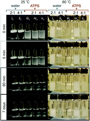 Temperature sensitive water-in-water emulsions - Chemical ...