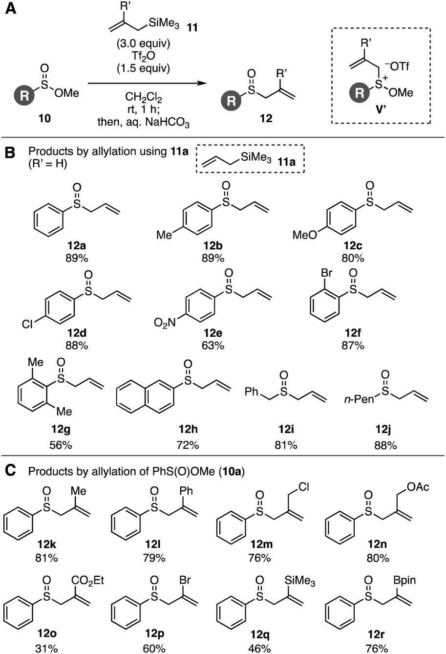 Sulfoxide synthesis from sulfinate esters under Pummerer-like ...