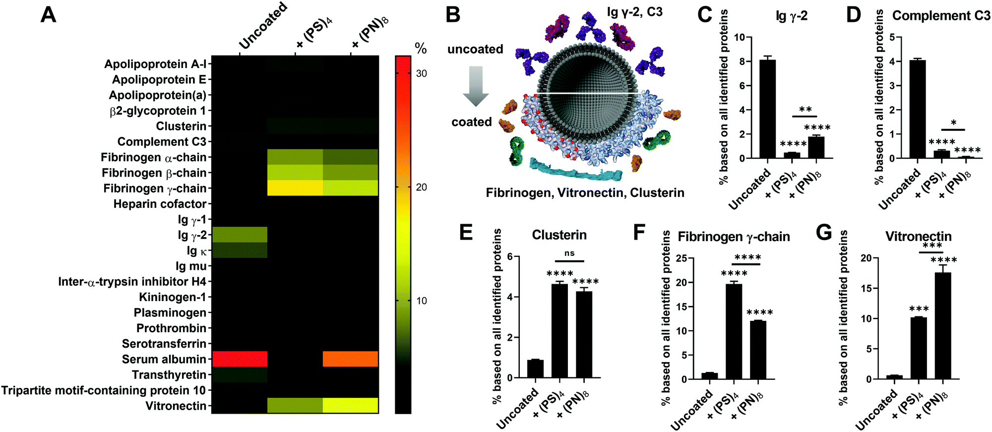 Amphiphilic dendrimers control protein binding and corona formation on ...