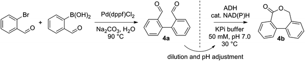Regioselective biocatalytic self-sufficient Tishchenko-type reaction ...