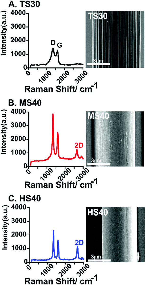 High Young's modulus carbon fibers are fouling resistant with fast-scan ...