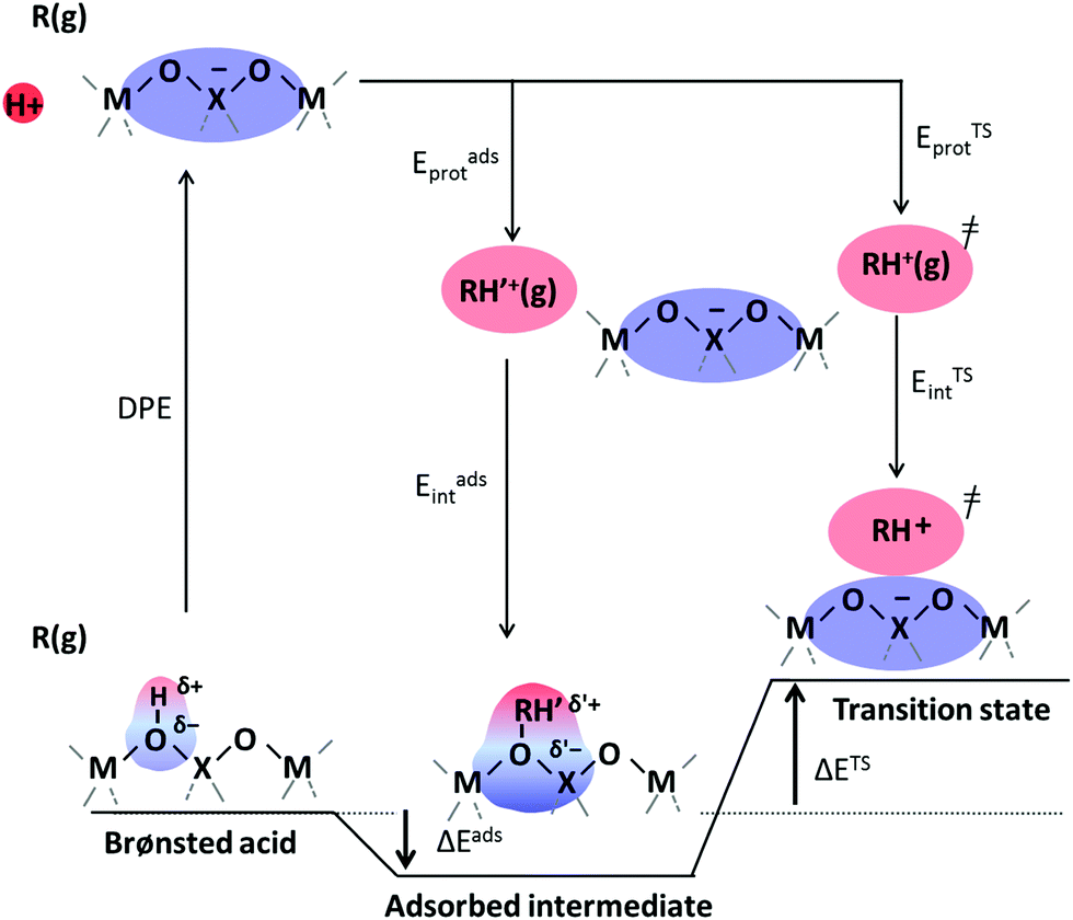 Reactivity descriptors in acid catalysis: acid strength, proton ...