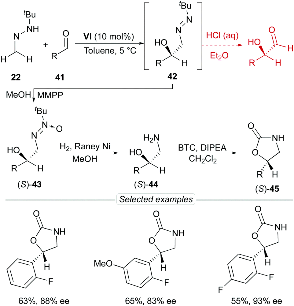 Formaldehyde tert -butyl hydrazone as a formyl anion equivalent ...