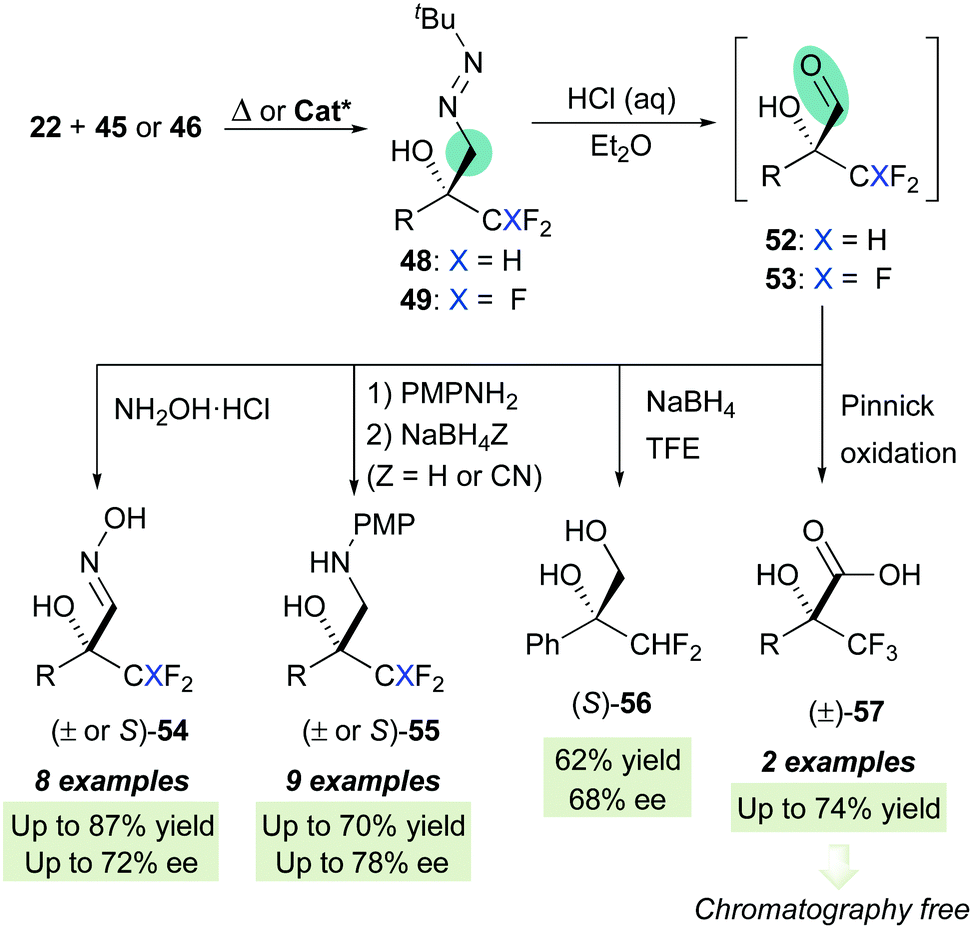 Formaldehyde tert -butyl hydrazone as a formyl anion equivalent ...