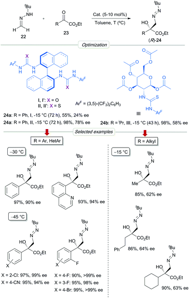 Formaldehyde tert -butyl hydrazone as a formyl anion equivalent ...
