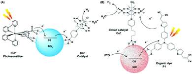 The odyssey of cobaloximes for catalytic H 2 production and their ...