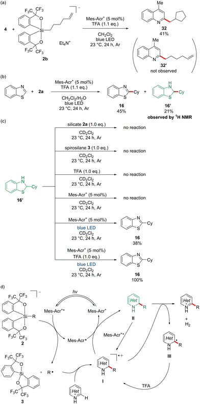 Terminal-oxidant-free photocatalytic C–H alkylations of heteroarenes ...