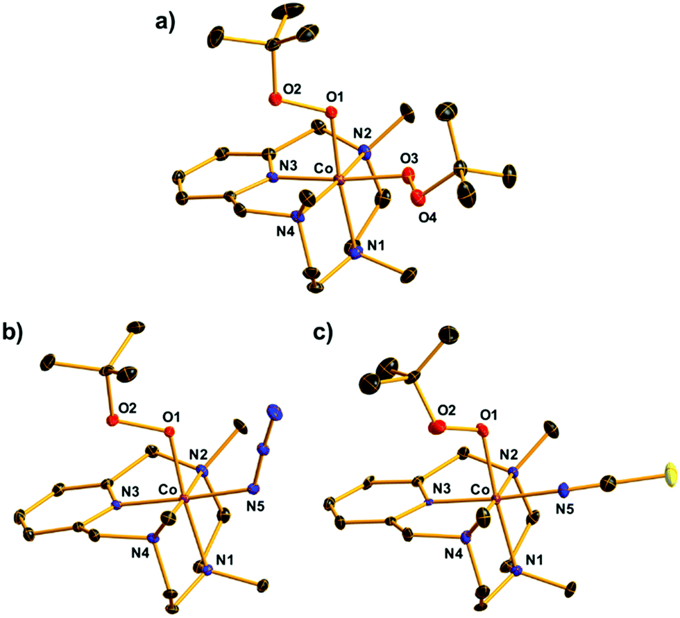 Nucleophilic reactivity of a mononuclear cobalt( iii )–bis( tert ...