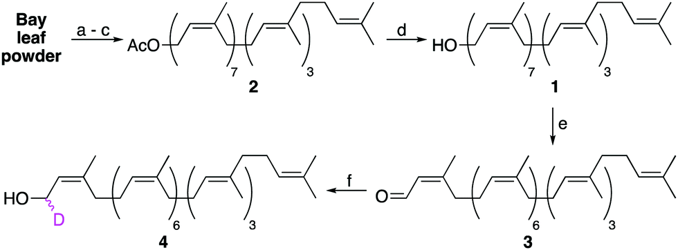 From plant to probe: semi-synthesis of labelled undecaprenol analogues ...