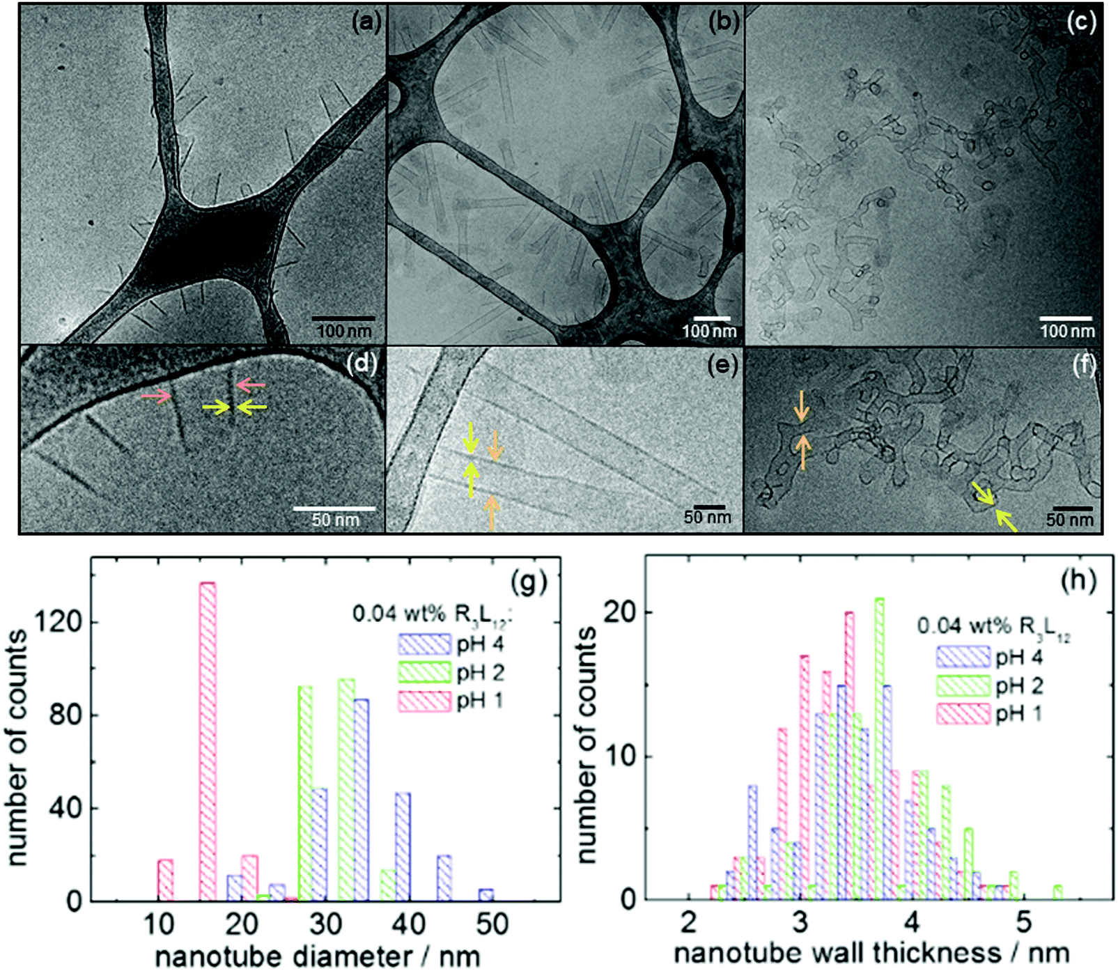 Peptide nanotubes self-assembled from leucine-rich alpha helical ...