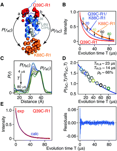 T m filtering by 1 H-methyl labeling in a deuterated protein for pulsed ...