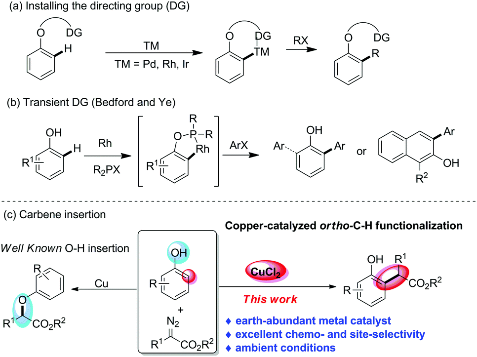 Copper-catalysed ortho -selective C–H bond functionalization of phenols ...