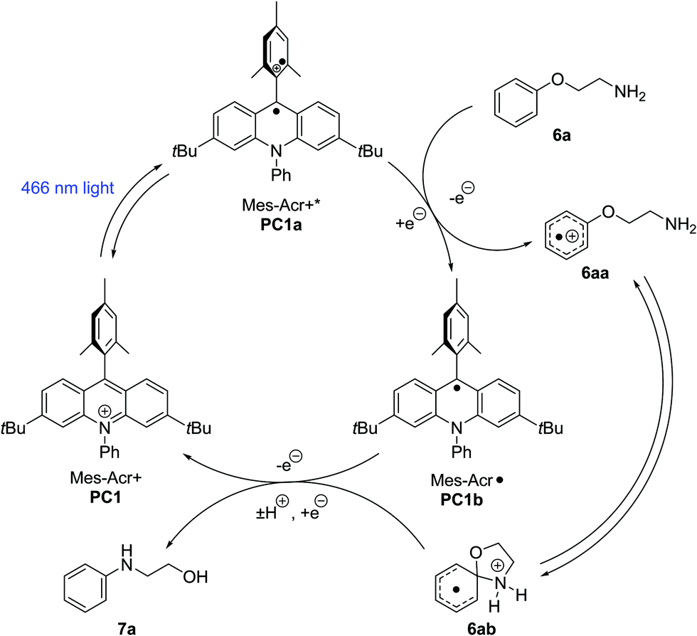 Visible light-mediated Smiles rearrangements and annulations of non ...
