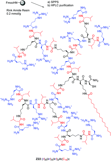 Transfecting tissue models with CRISPR/Cas9 plasmid DNA using peptide ...