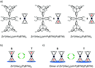 Excimer emission and magnetoluminescence of radical-based zinc( ii ...