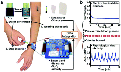 Electrochemical non-enzymatic glucose sensors: recent progress and ...