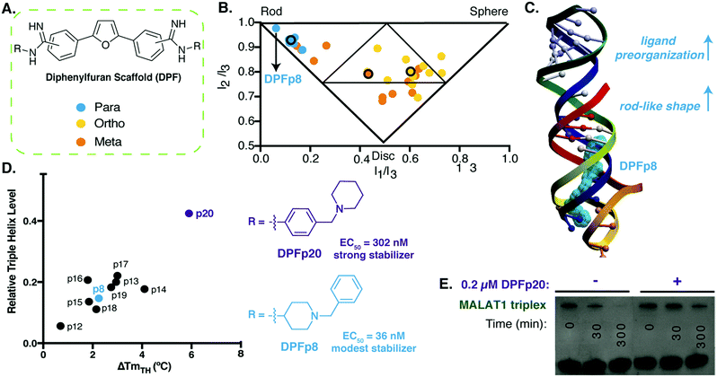 Small molecule–RNA targeting: starting with the fundamentals - Chemical ...