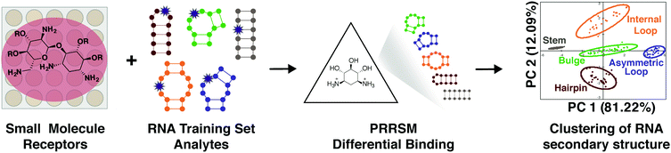 Small molecule–RNA targeting: starting with the fundamentals - Chemical ...