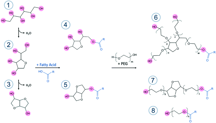 Mechanisms of crystallisation in polysorbates and sorbitan esters ...