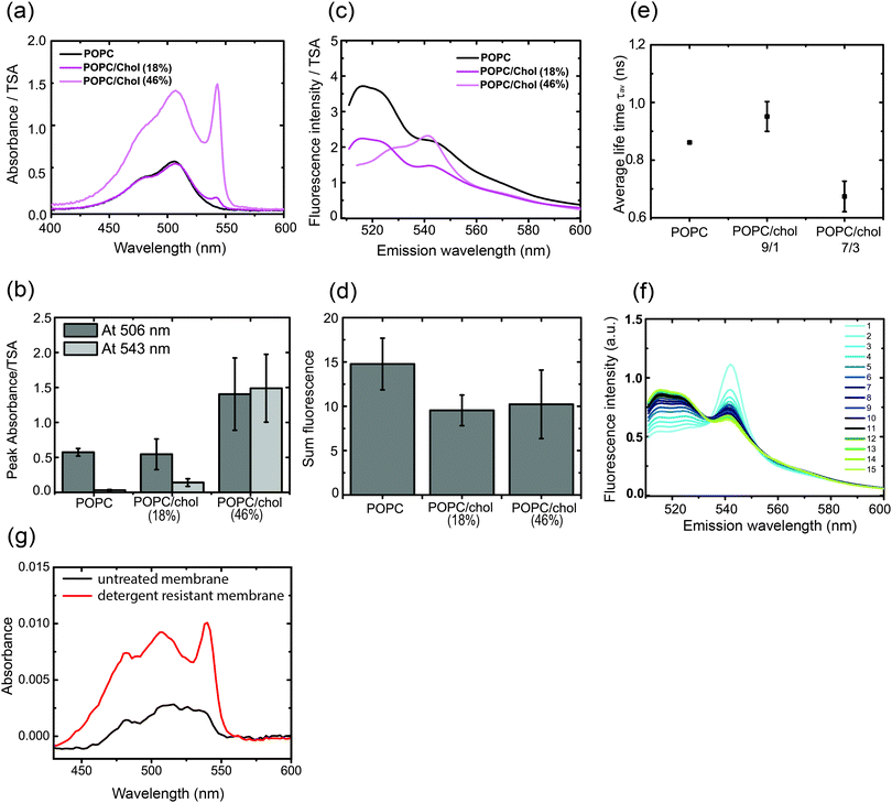 Lipid vesicle composition influences the incorporation and fluorescence ...