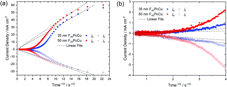 The influence of intermolecular coupling on electron and ion transport ...