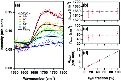 Decoding the molecular water structure at complex interfaces through ...
