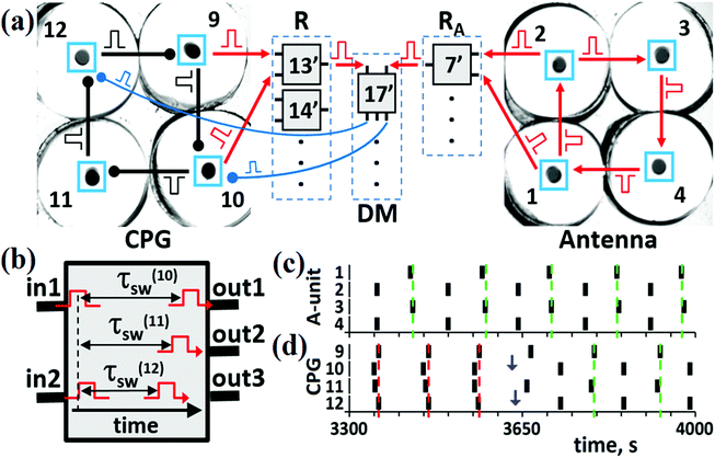 Experimental verification of an opto-chemical “neurocomputer ...