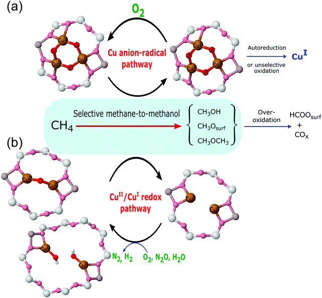 Active sites and mechanisms in the direct conversion of methane to ...