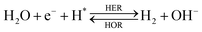 Nature-inspired electrocatalysts and devices for energy conversion ...