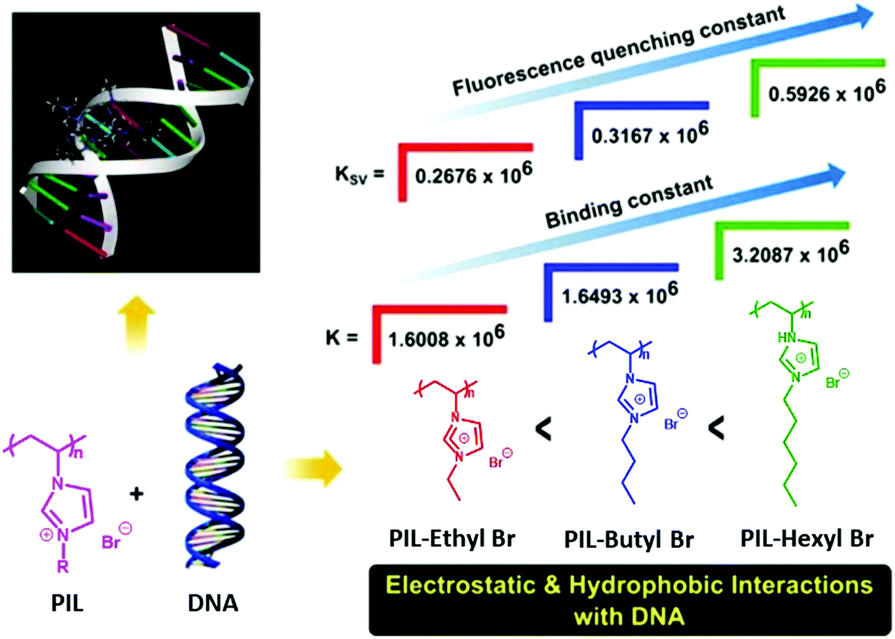 Poly(ionic liquid) composites - Chemical Society Reviews (RSC ...