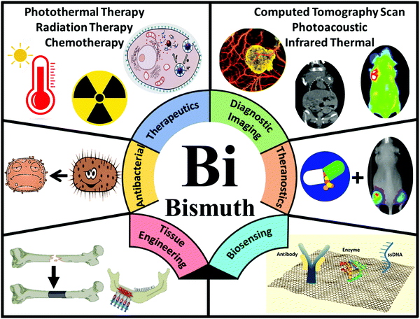 The versatile biomedical applications of bismuth-based nanoparticles ...