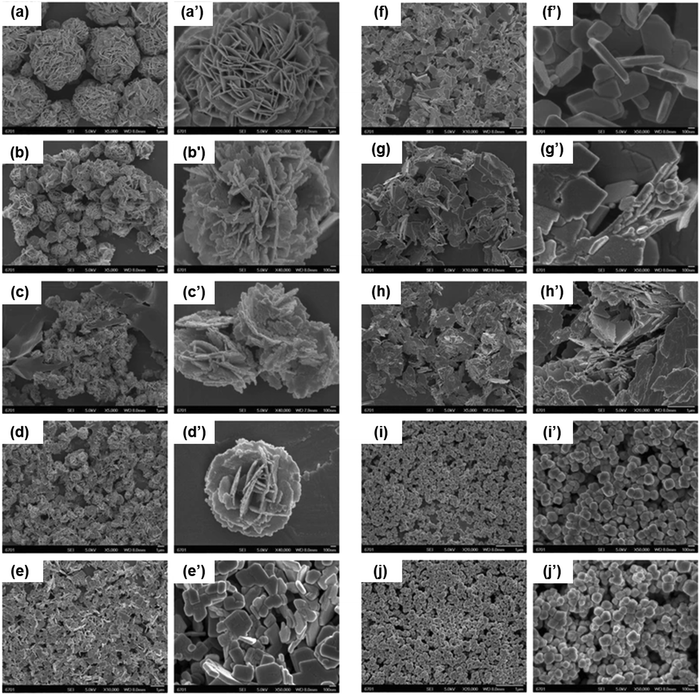 The versatile biomedical applications of bismuth-based nanoparticles ...