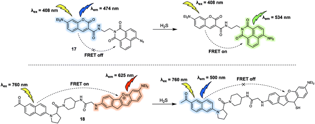 Förster resonance energy transfer (FRET)-based small-molecule sensors ...
