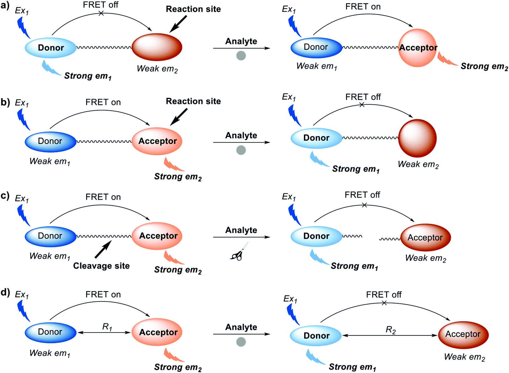 Förster resonance energy transfer (FRET)-based small-molecule sensors ...