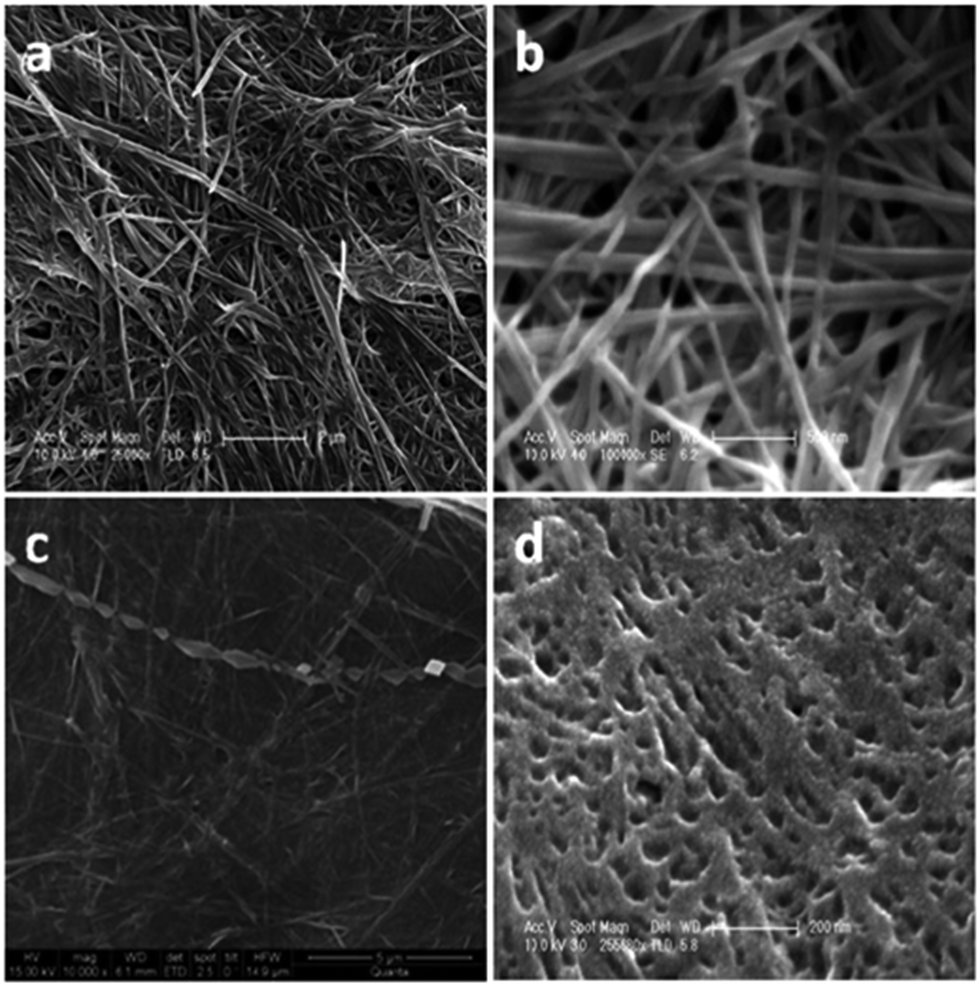 Steroidal supramolecular metallogels - Chemical Society Reviews (RSC ...