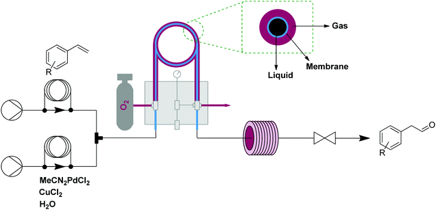 How to approach flow chemistry - Chemical Society Reviews (RSC ...